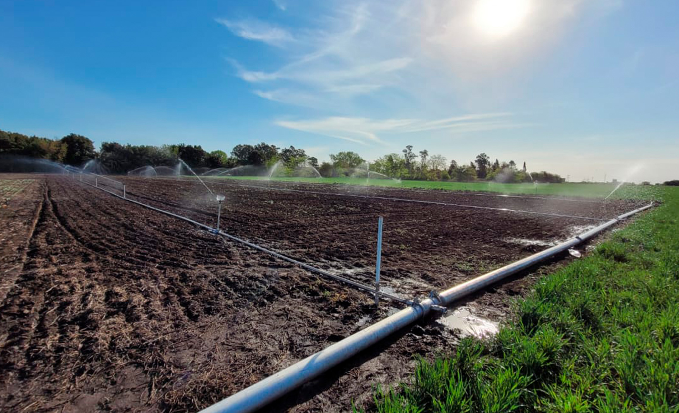 AMBAU AGRONEGOCIOS JUNIN