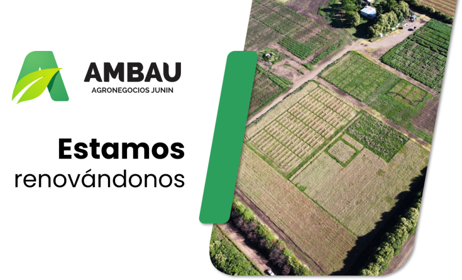 AMBAU AGRONEGOCIOS JUNIN